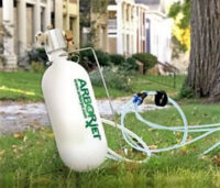 Iron Chlorosis Treatment Helps Iron Deficiency in Trees