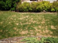 Humate Soil Conditioner for Lawns | Humic Acid and Fulvic Acid