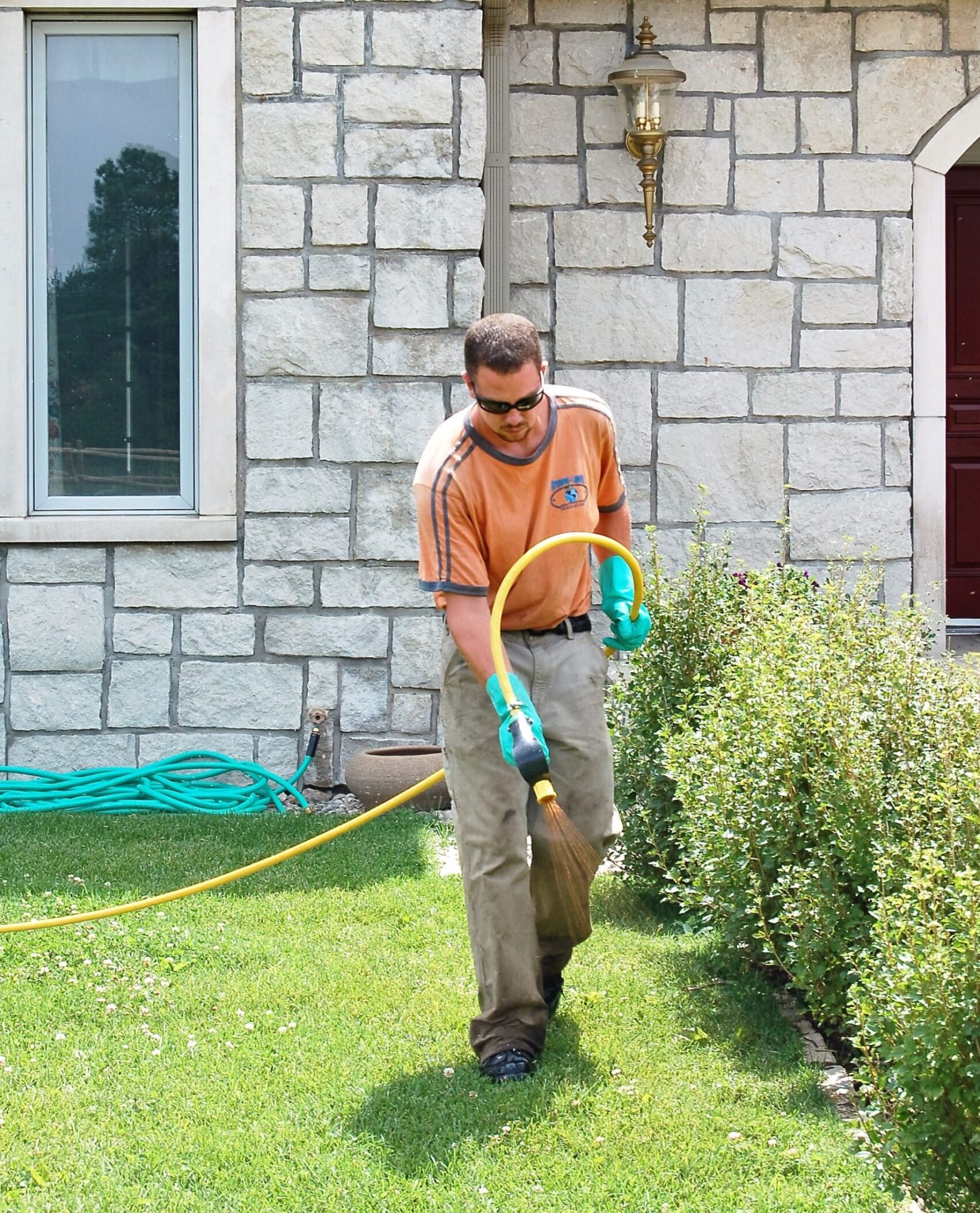 Natural Weed Controls for Lawns | Boulder and Fort Collins Areas
