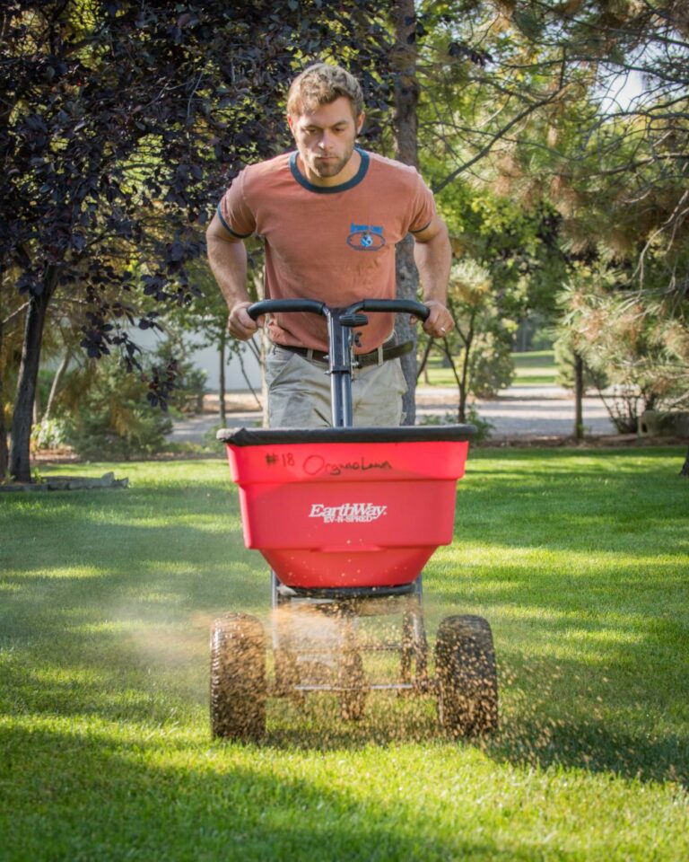 Corn Gluten Meal Weed Control | Natural Pre-emergent for Lawns