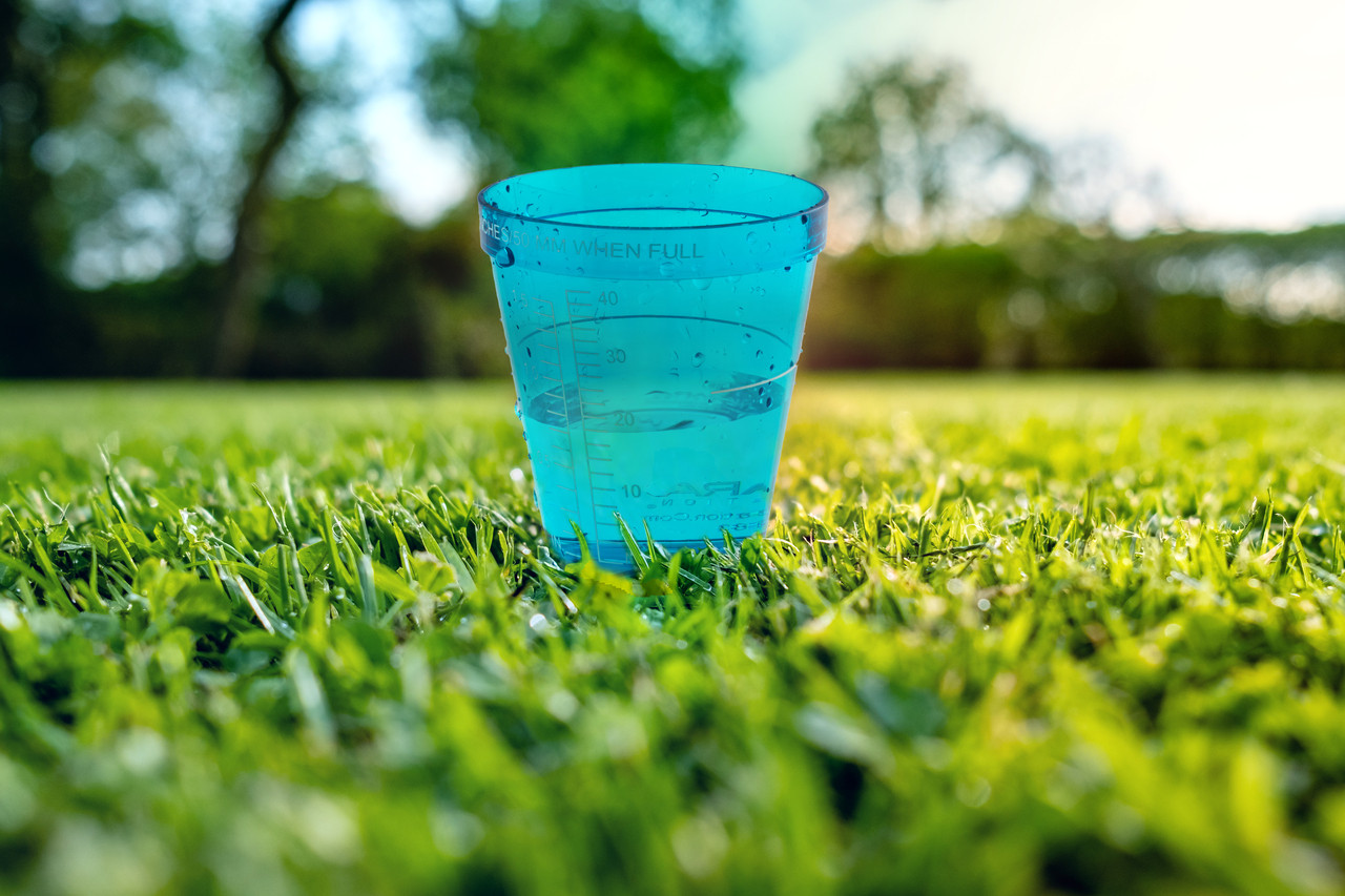 How to Properly Water a Lawn | The Best Way to Water Grass