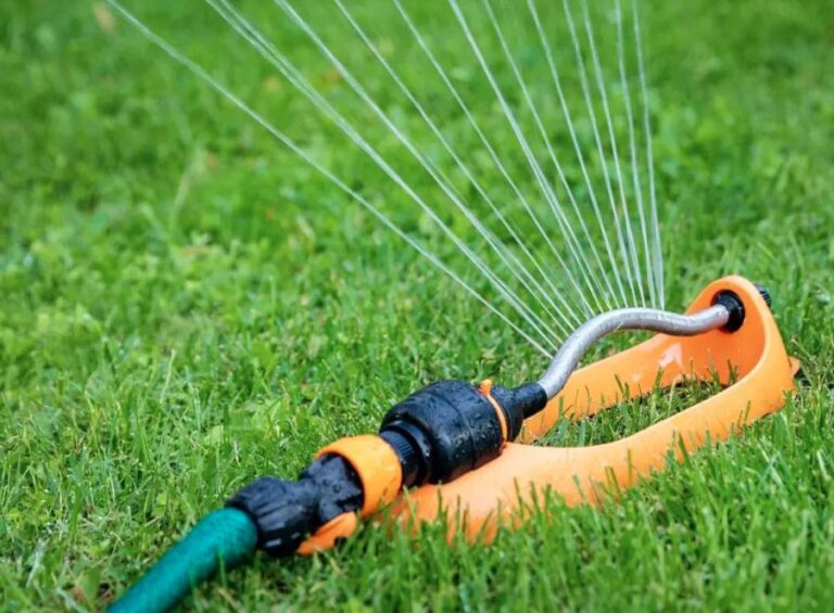 How to Properly Water a Lawn | The Best Way to Water Grass
